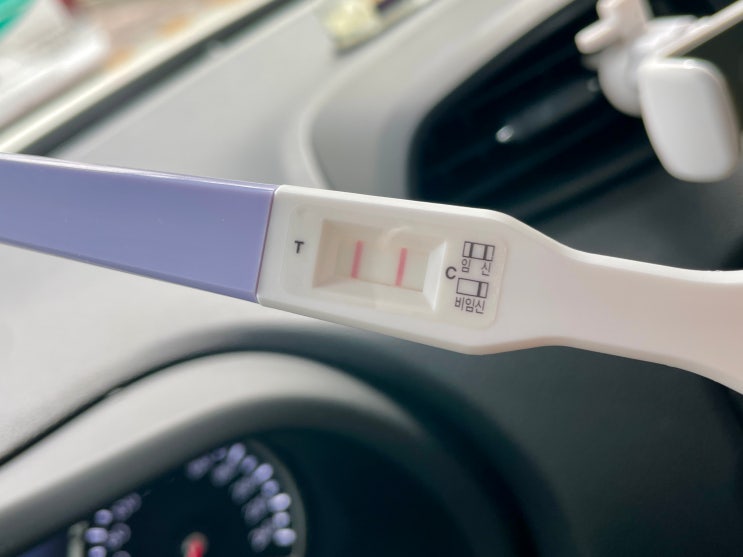임신 초기 5~6주차 증상 초음파 체중 변화 식단 일기 네이버 블로그