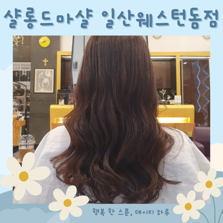 일산미용실을 찾는다면 살롱드마샬 일산 웨스턴돔점 펌 추천이요 네이버 블로그