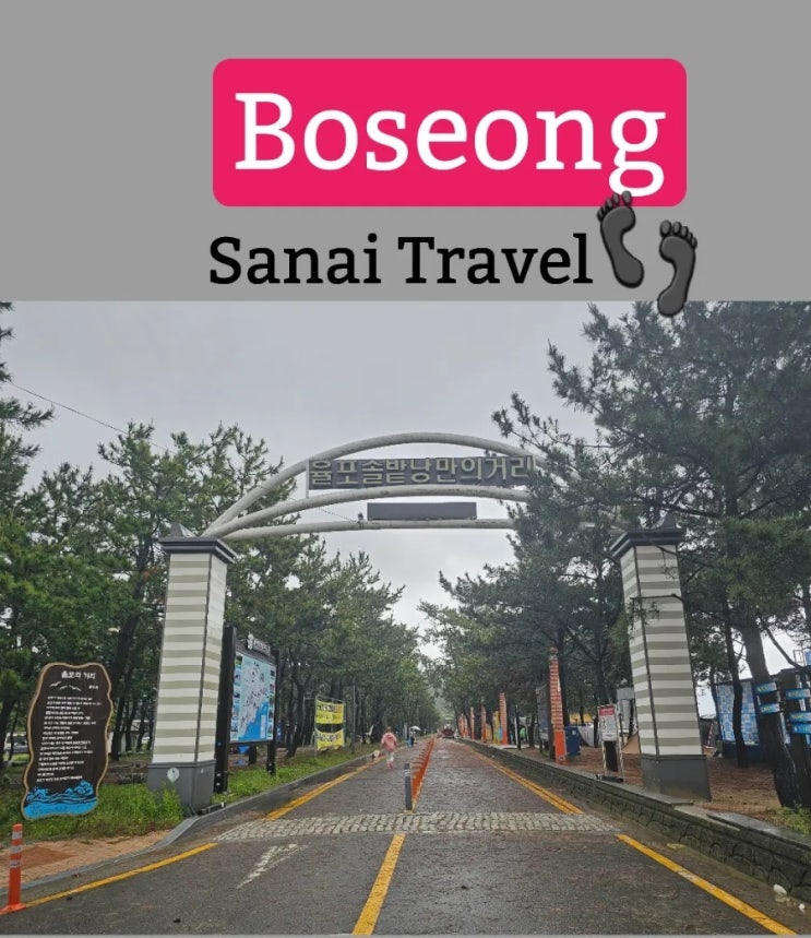보성 캠핑장 율포솔밭해수욕장 서해바다 보이는 전남 노지 캠핑장 네이버 블로그
