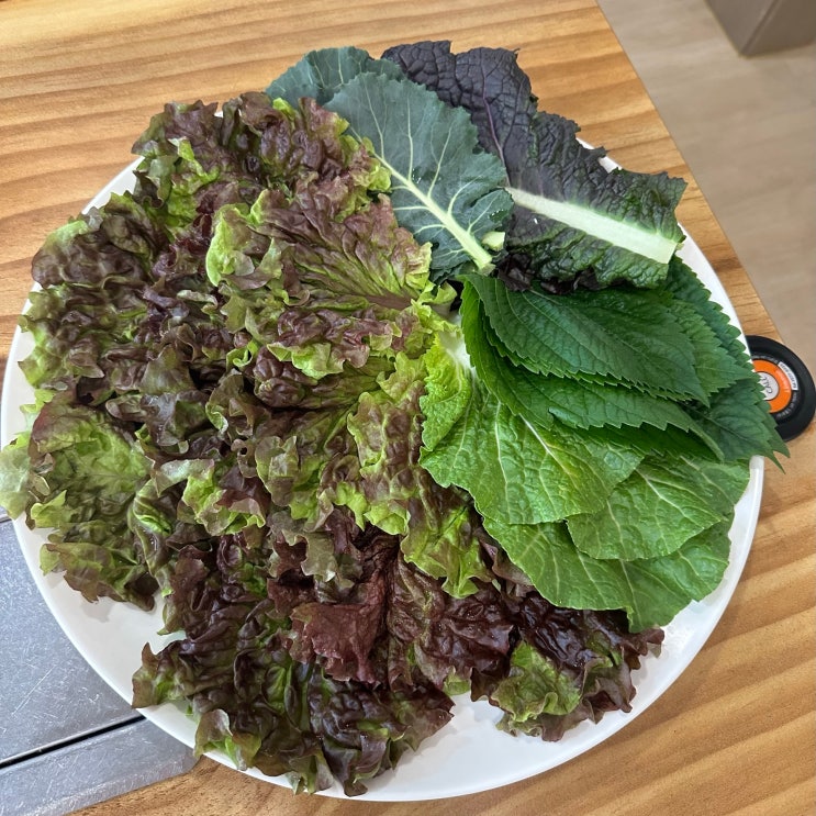김천어무이쌈밥 율곡동 김천혁신도시 쌈채소 제육볶음 고등어구이 맛집 내부 메뉴 가격 네이버 블로그