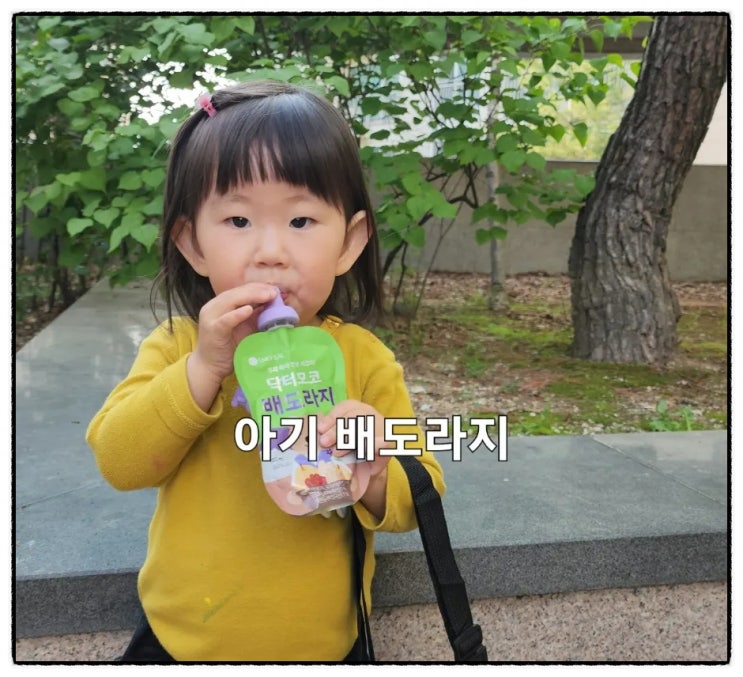 아기 배도라지 곰돌이 츄미토퍼 앙파파 닥터모코 배도라지즙 유아 목감기 관리 네이버 블로그
