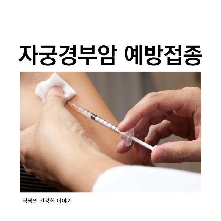 자궁경부암 예방접종 가격 무료대상 가다실9가 부작용 총정리 네이버 블로그