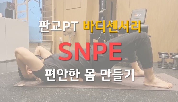 판교pt 바디센서리 SNPE 편안한 몸 만들기 (feat. 강나운 코치) : 네이버 블로그