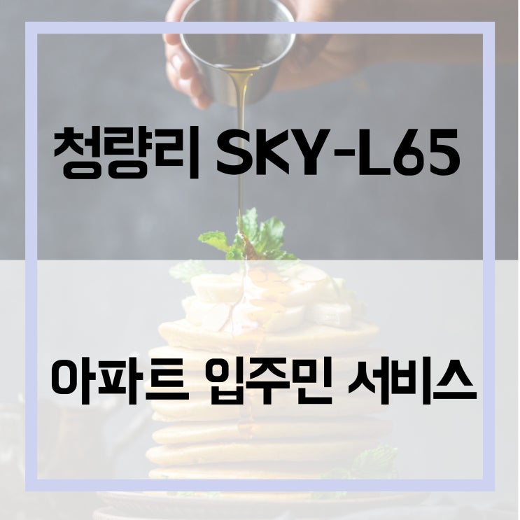 [단지정보] 청량리 롯데캐슬 sky l65, 입주민 서비스는 어떤게 있을까요? : 네이버 블로그