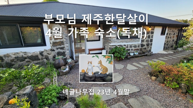 부모님 제주한달살이숙소 가족을 위한 4월 독채 숙소 네이버 블로그