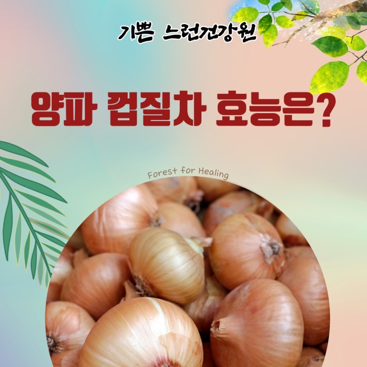 양파보다 중요한 양파껍질차 효능 네이버 블로그