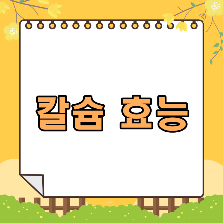 칼슘 효능 복용방법까지 알고 챙기자 네이버 블로그