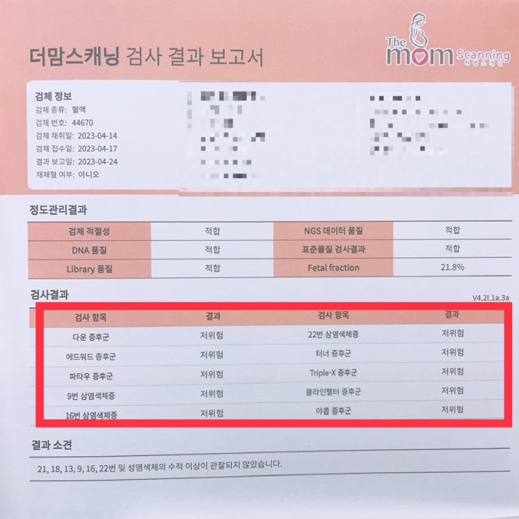 니프티검사 비용 결과 기간 보험 서류 다운증후군 고위험군 15 정상 후기 네이버 블로그