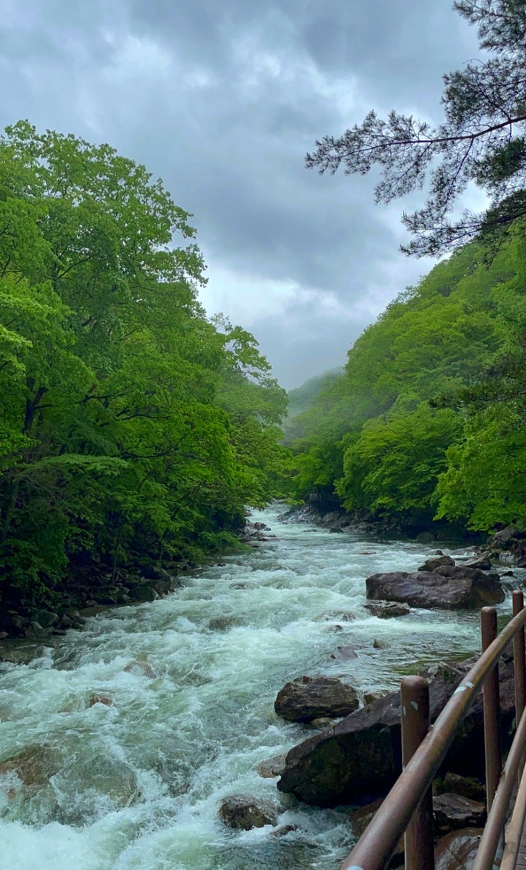 [남원 여행] 지리산 국립공원 뱀사골 계곡 1탄(지리산 국립공원 전북사무소~요룡대) : 네이버 블로그