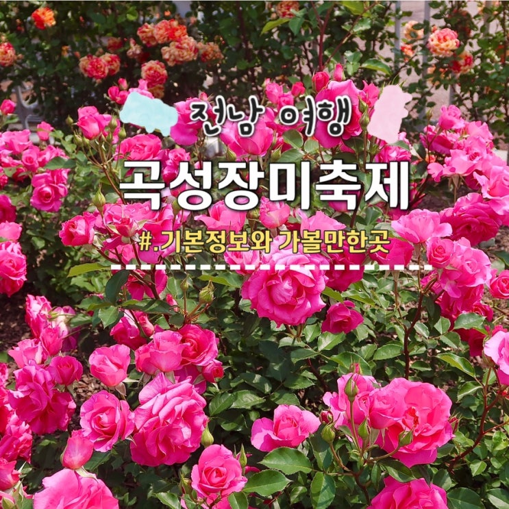 5월 전남 축제 곡성장미축제 기본정보와 주변 가볼만한곳 입장료 주차장 초대가수 개화 만개 시기 등 Feat