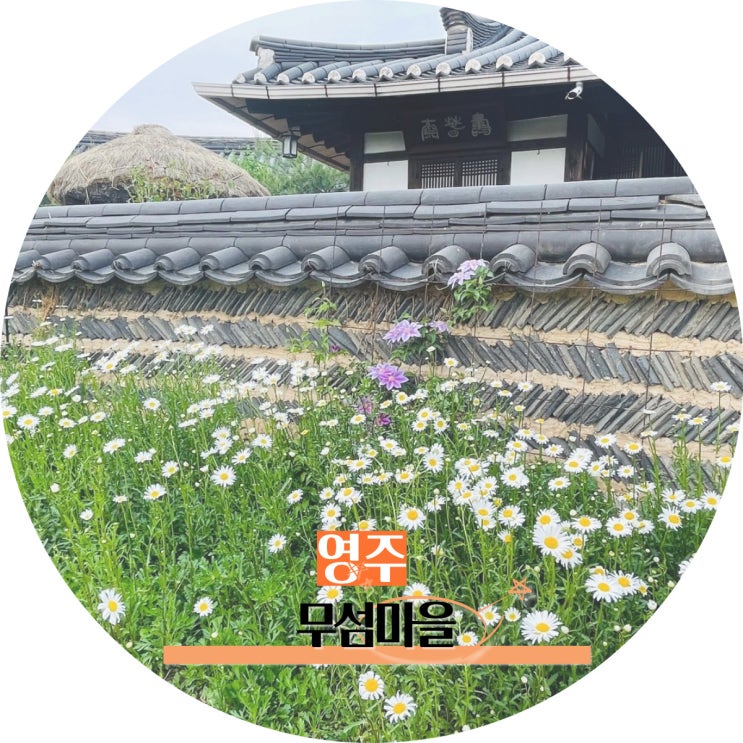 무섬마을 외나무다리와 고즈넉한 고택이 있는 곳 영주 가볼 만한 곳 네이버 블로그