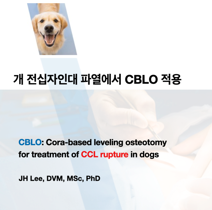 [수술기법] 개 전십자인대 파열에서 CBLO 적용: Cora-based leveling osteotomy for ...