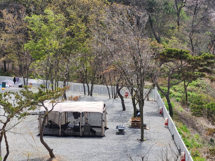 개방감만으로 만족도 200%, 터널텐트 지프배럭 추천하는 이유 : 네이버 블로그