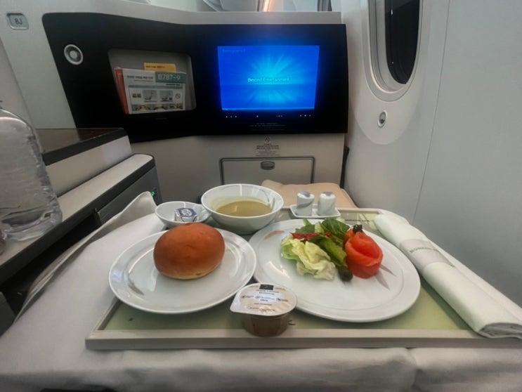 한국에서 담낭(쓸개) 제거수술 후, 말레이시아 컴백 대한항공 KE671편 : 네이버 블로그