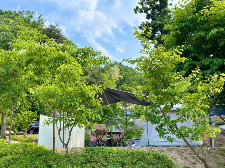 서울근교 오토캠핑장 충청도 천안 태학산 자연휴양림 숲캉스 산속 깨끗한 장박 캠핑장 추천 숲놀이터 숲나들e 네이버 블로그