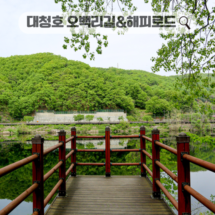 대전 가볼만한곳 대전명소 금강로하스 해피로드 대청호 오백리길 네이버 블로그
