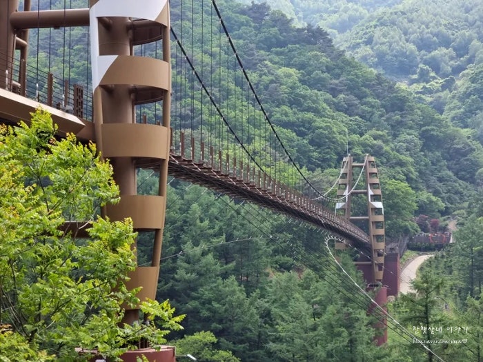증평 가볼만한곳 좌구산 자연휴양림 명상 구름다리 아찔하네요이용안내 및 가는길 네이버 블로그