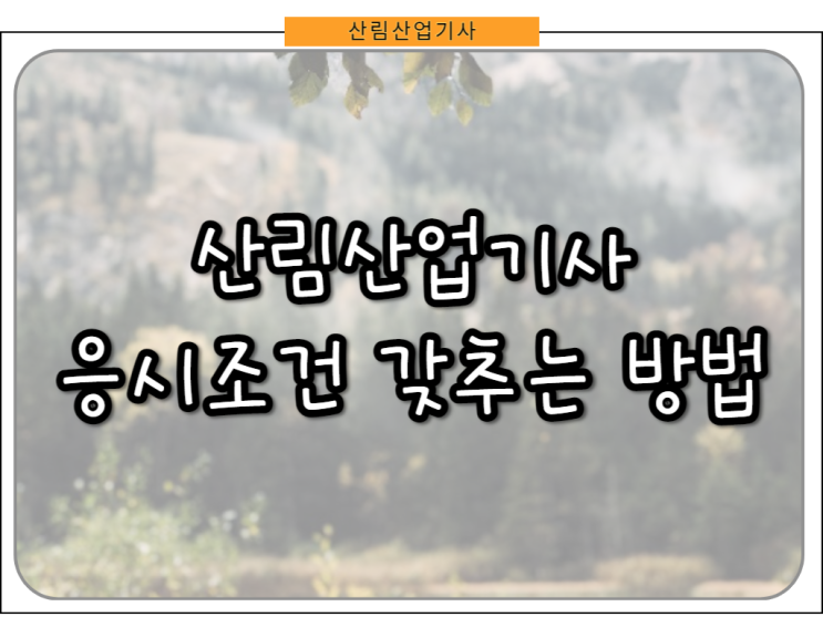 산림산업기사 자격요건 갖취서 취업까지 : 네이버 블로그