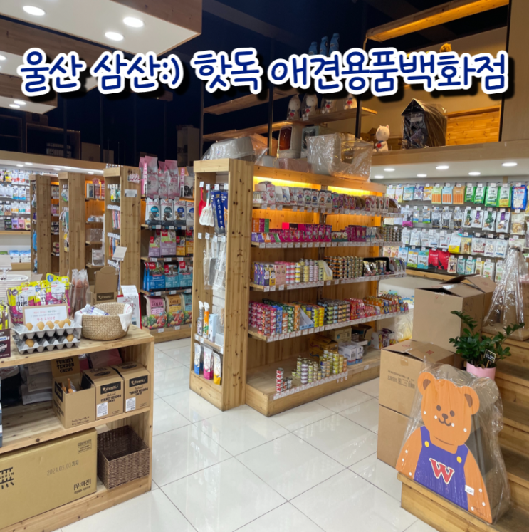 울산 삼산 핫독 애견용품 백화점 울산점 주차 편리 네이버 블로그