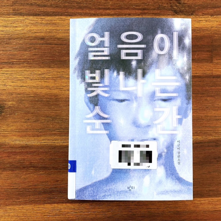 얼음이 빛나는 순간 이금이 장편소설 청소년 성장소설 네이버 블로그