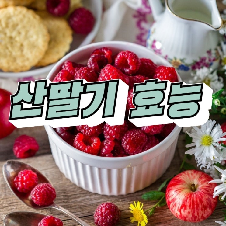 산딸기 효능 및 제철 세척 보관 곰팡이 네이버 블로그