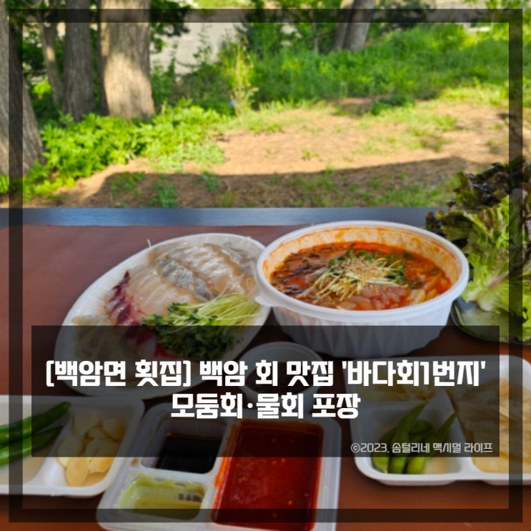 백암면 횟집 백암 회 맛집 바다회1번지 모둠회·물회 포장 네이버 블로그
