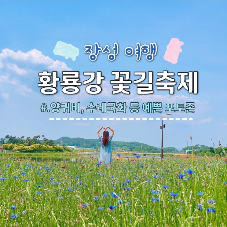 전남 꽃축제 장성 황룡강 홍길동무 꽃길 축제 인생샷 꽃구경 가능 양귀비 수레국화 등 기본 정보 주차장