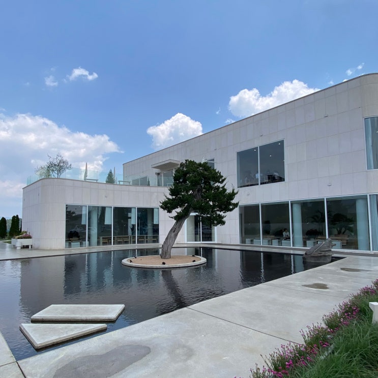 담양 대형 베이커리카페 추천 / 카페밀 • mll : 네이버 블로그