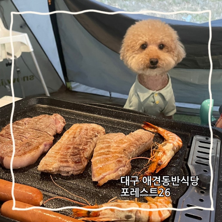 대구 애견동반 식당 포레스트26• 우리집 강아지가 편안해 하고 나도 좋아하는 공간 대구 애견동반 대구 애견동반 고기집
