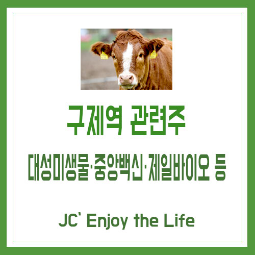 구제역 관련주 대성미생물·중앙백신·제일바이오·체시스·우진비앤지·씨티씨바이오·이글벳·파루 주식 주가 간단 정리 네이버 블로그