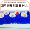 제주여행선물 추천 제주공항근처카페 물 연동 네이버 블로그