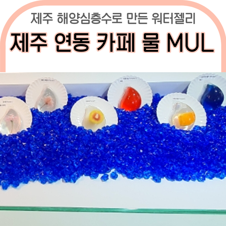 제주여행선물 추천 제주공항근처카페 물 연동 네이버 블로그