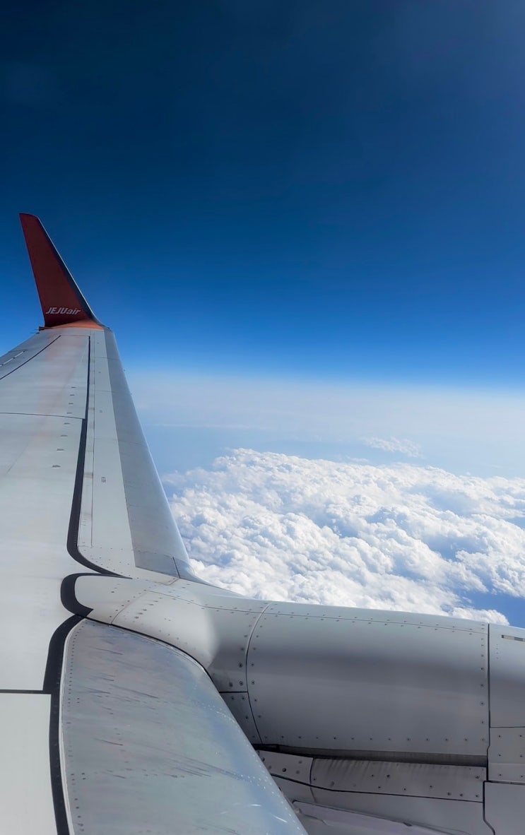 🇯🇵 도쿄 김해 제주항공 타고 귀국 :: 나리타공항 3터미널 면세점부터 제주항공 좌석간격까지! : 네이버 블로그