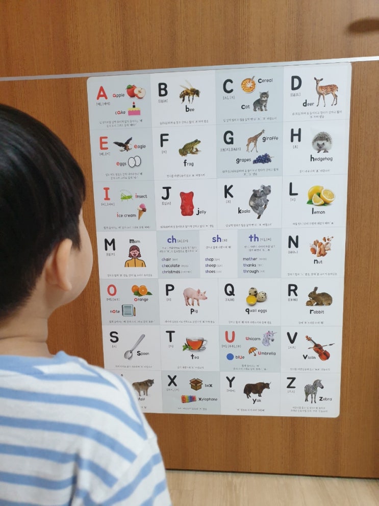 6세 영어공부 파닉스 알파벳 포스터로 영어발음 업 네이버 블로그
