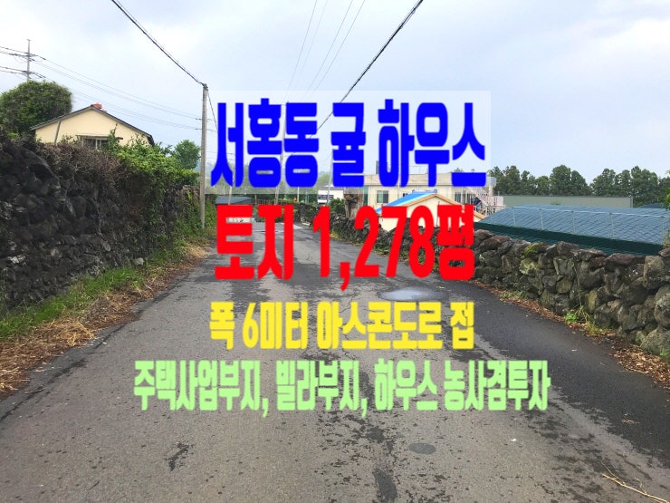 서귀포감귤시설하우스매매 서귀포시 서홍동 감귤하우스 매매 당100만 시내 가깝고 아스콘도로 접 주택사업부지 공동주택부지