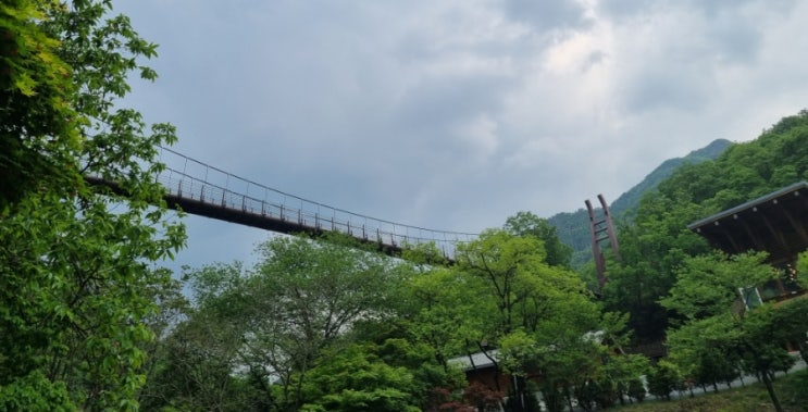 금산 남이자연휴양림 숲속의집 예약 방법 및 후기 금산산림문화타운 고로쇠나무방 숲체험 하늘슬라이드 네이버 블로그