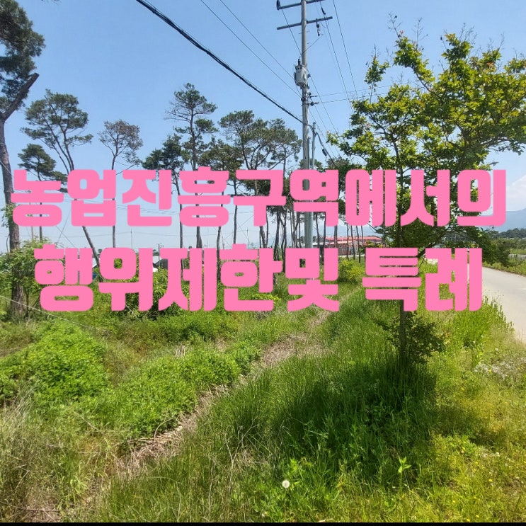 농업진흥구역에서의 행위제한및 특례및 농업진흥구역에서 허용되는 농업생산 또는 농업개량과 직접 관련된 토지이용행위 네이버 블로그