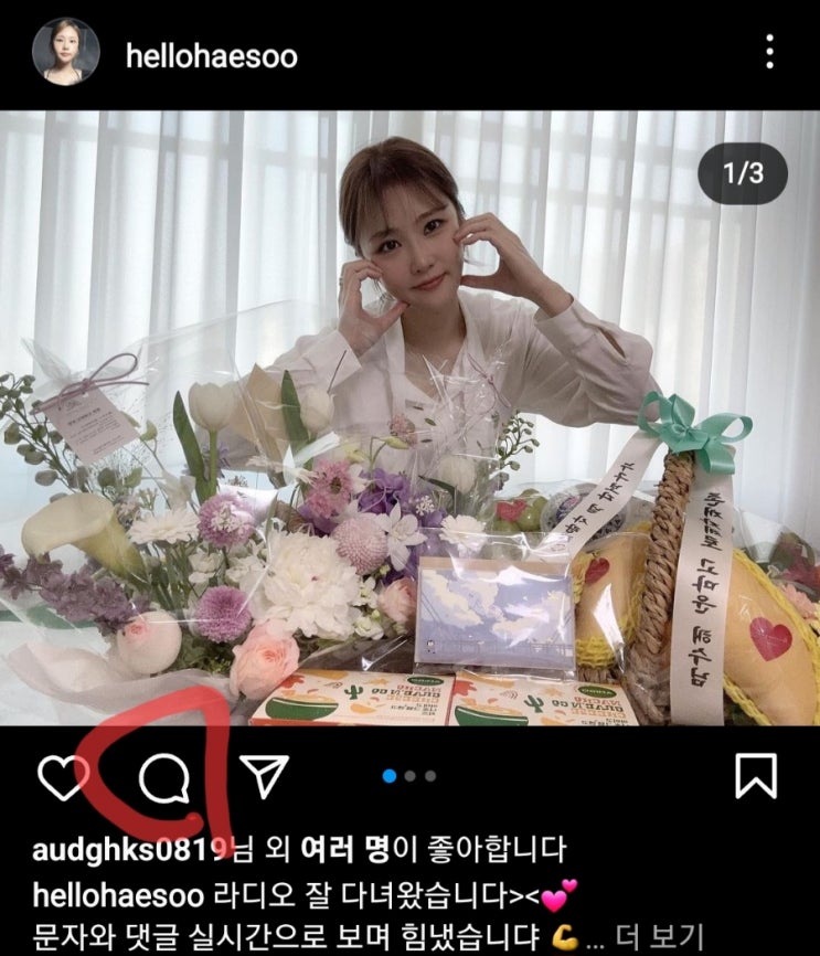 국악 전공 트로트가수 해수 사망 자살 추측 유서 발견 및 인스타 댓글 폐쇄 트롯트여가수 사망 누구 네이버 블로그