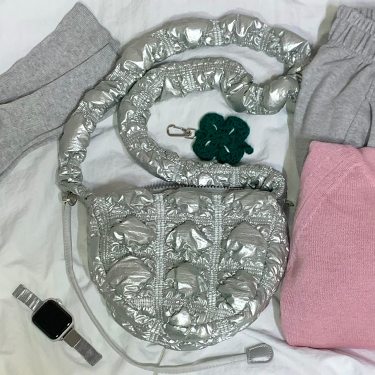 내돈내산 보부상의 칼린 포잉백 실버 후기 (코지백,소프트백 m l 비교 및 착샷) : 네이버 블로그