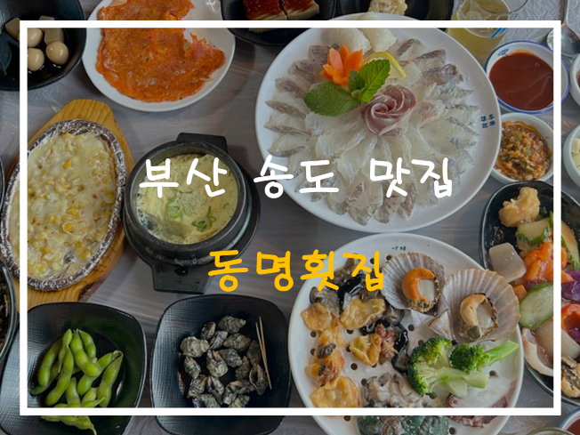 부산 서구 맛집 부산 개별룸 횟집으로 프라이빗하게 먹을 수 있는 동명횟집 네이버 블로그