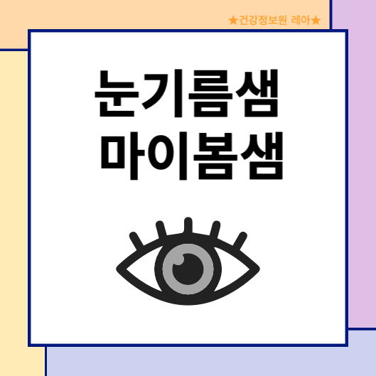 눈 기름샘 마이봄샘 청소하기 안구건조증 속다래끼 눈이 피로해지는 이유 네이버 블로그