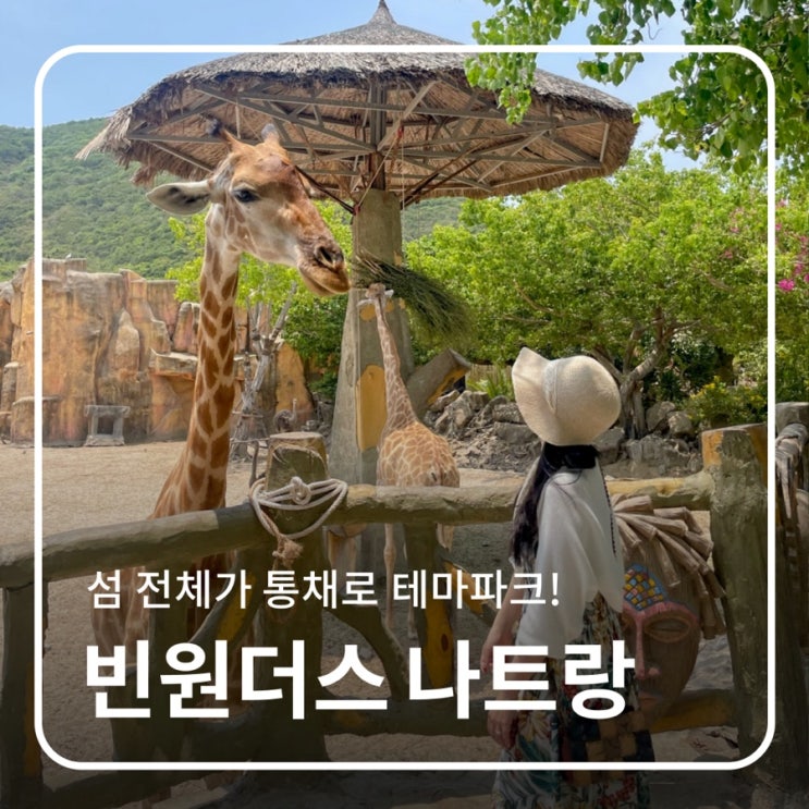 나트랑 자유여행 당일치기로 빈원더스 다녀오기 테마파크 사파리 아쿠아리움 네이버 블로그