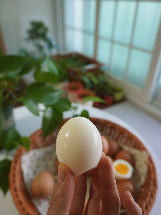 노브랜드 부드러운 반숙란 다이어트 식단 시작 (+초간단 계란장) : 네이버 블로그