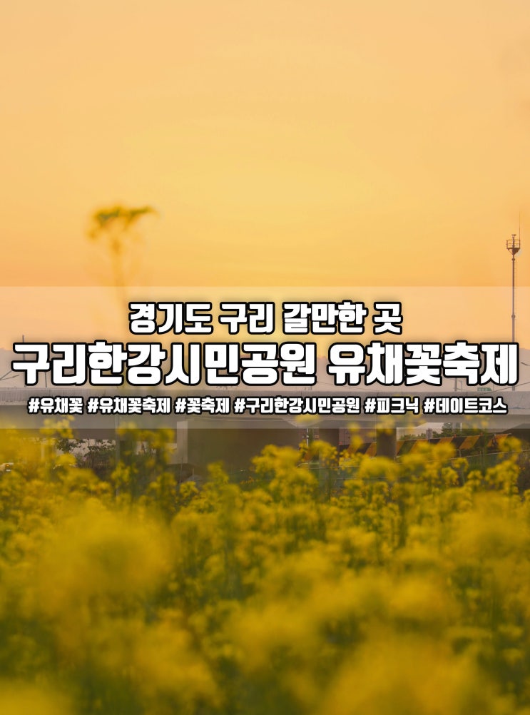 경기도 구리📷 유채꽃 축제 유채꽃 개화현황 구리한강시민공원 네이버 블로그