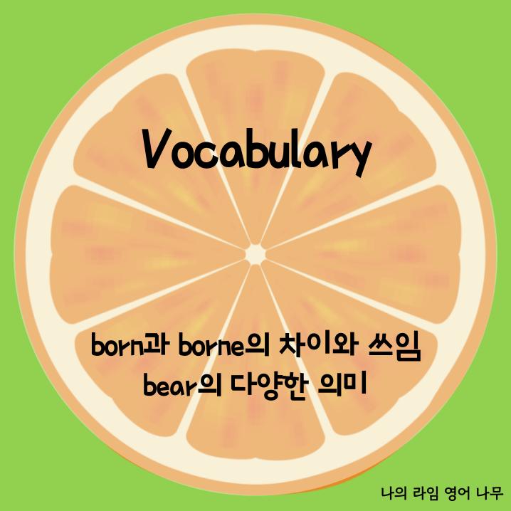born과 borne의 차이와 쓰임/ bear, bore, born(borne)/ bear의 다양한 의미 : 네이버 블로그