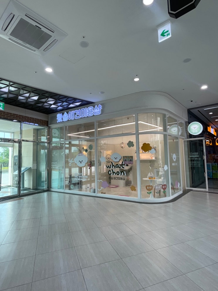 부산 애견미용 추천) 명지 애견미용 깔끔하게 잘 하는 곳 “왔숑애견미용샵” : 네이버 블로그