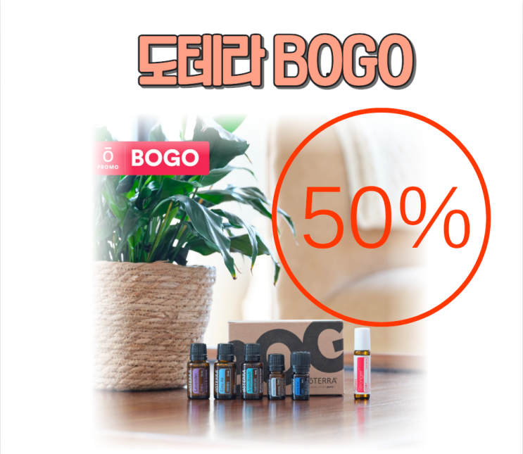 도테라 보고 프로모션 시작 오일을 가장 싸게 구매하는 보고박스bogo Box찬스를 잡으세요 네이버 블로그