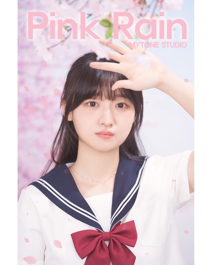 ️ 마이톤스튜디오 Pink Rain을 소개합니다~🌸 : 네이버 블로그