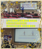 인식의 새로고침 인권의6가지 원칙 한국장애인개발원전문강사 김은주 네이버 블로그