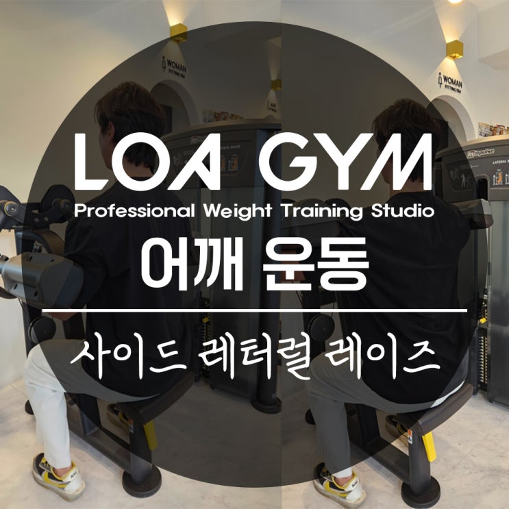 종암동pt 로아짐 종암동에서 Pt 찾는다면 박진영 마스터트레이너 머신 어깨 운동 사이드 레터럴 레이즈 네이버 블로그